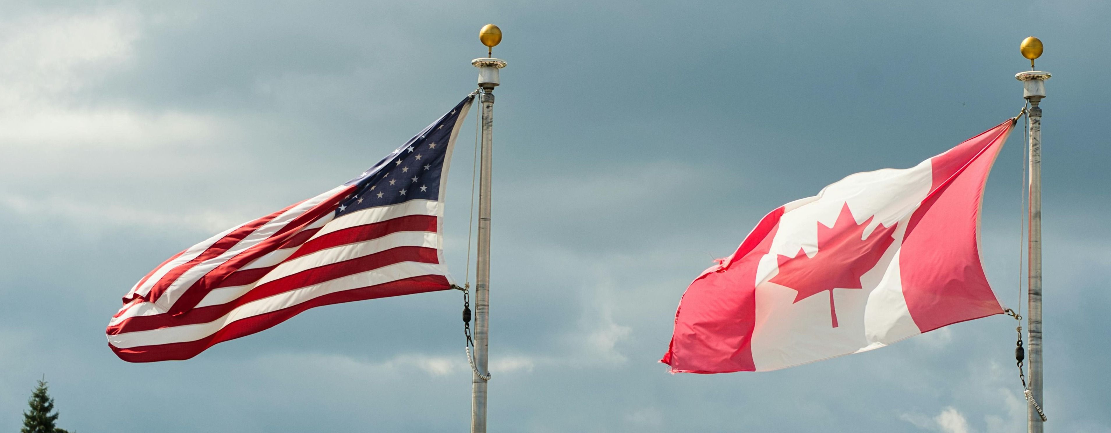 MNI INTERVIEW: BOC To Cut Faster And Deeper In Tr...- 01-31-2025 | MNI